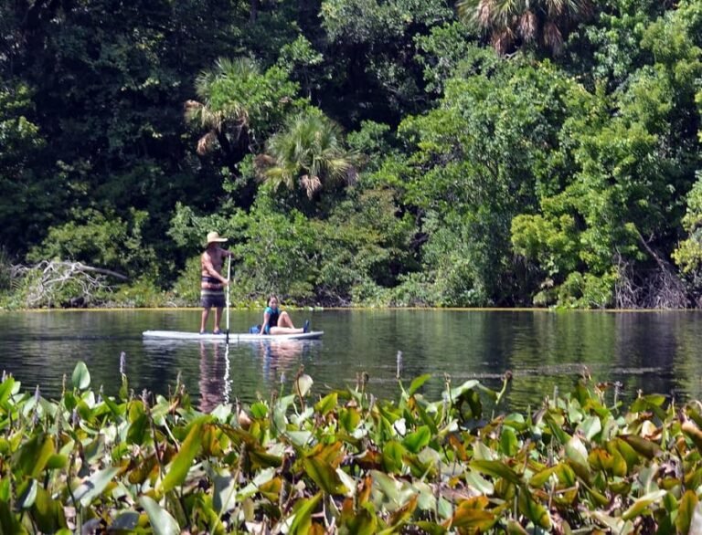 Alexander Springs in Florida: Exploring Nature's Paradise | World ...