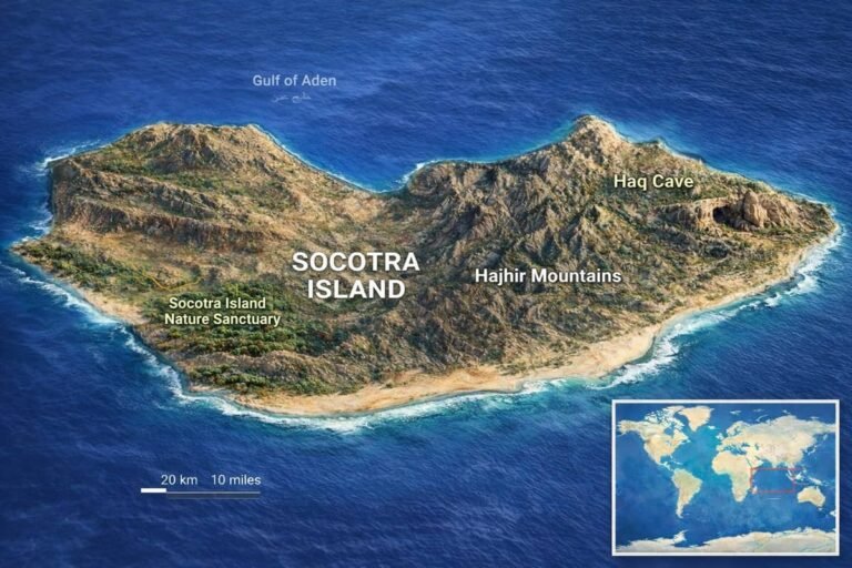 Why Socotra Island Looks Like an Alien Planet | World Famous Things